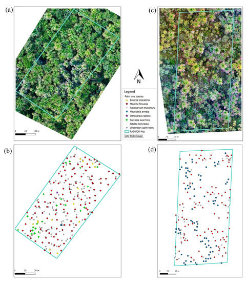 Identifying and Quantifying the Abundance of Economically Important ...