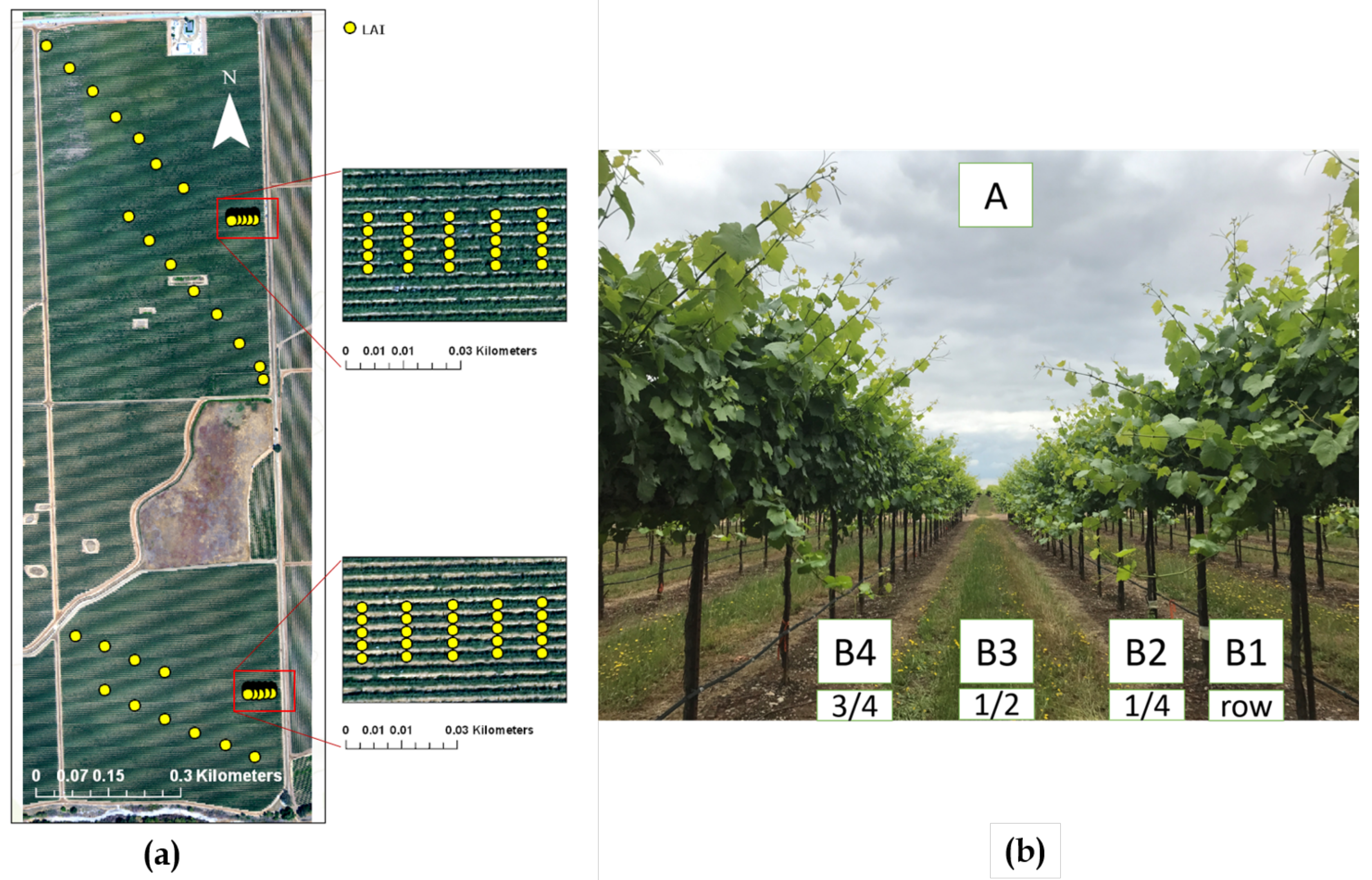Incorporation of Unmanned Aerial Vehicle (UAV) Point Cloud Products ...
