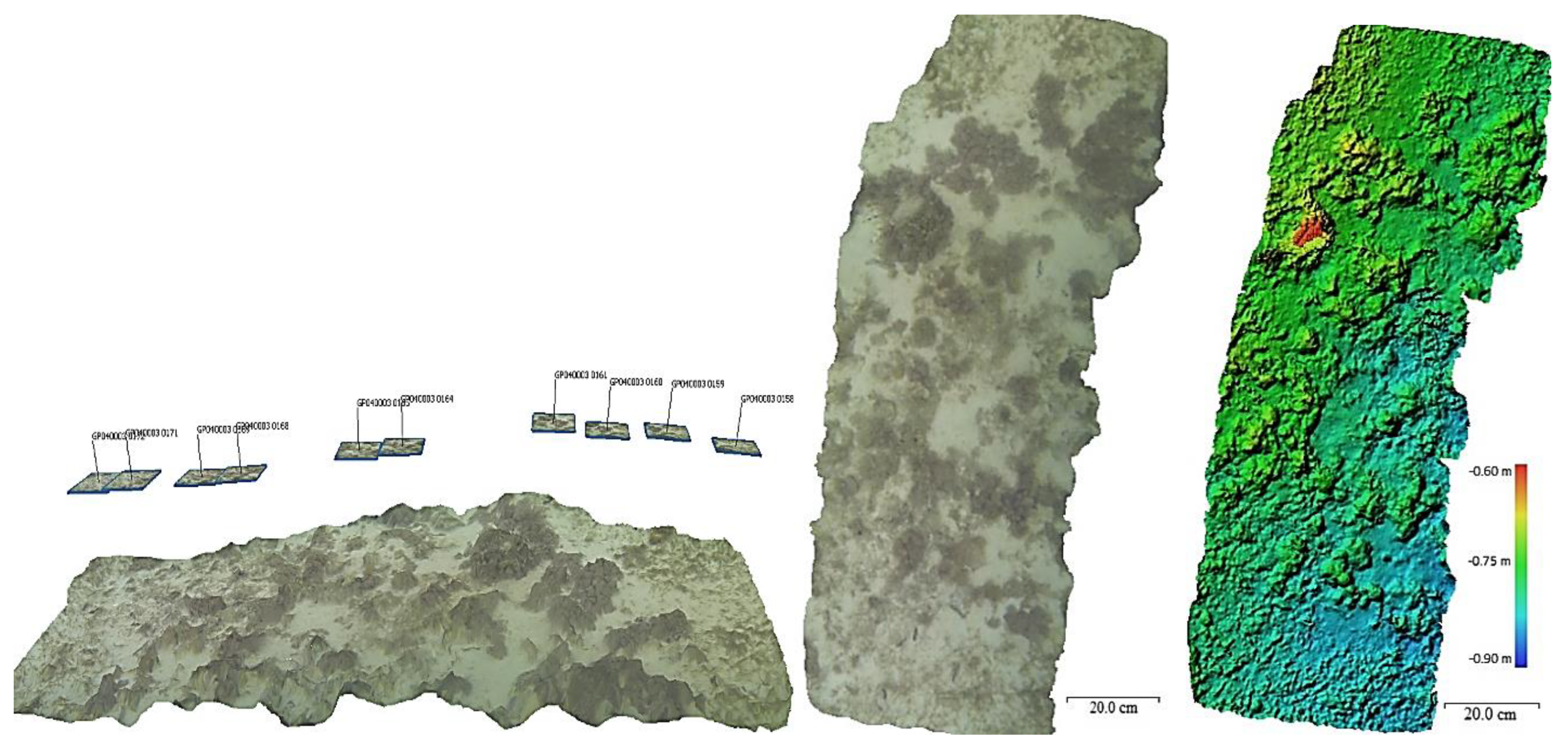 Towards Benthic Habitat 3D Mapping Using Machine Learning Algorithms and Structures from Motion ...