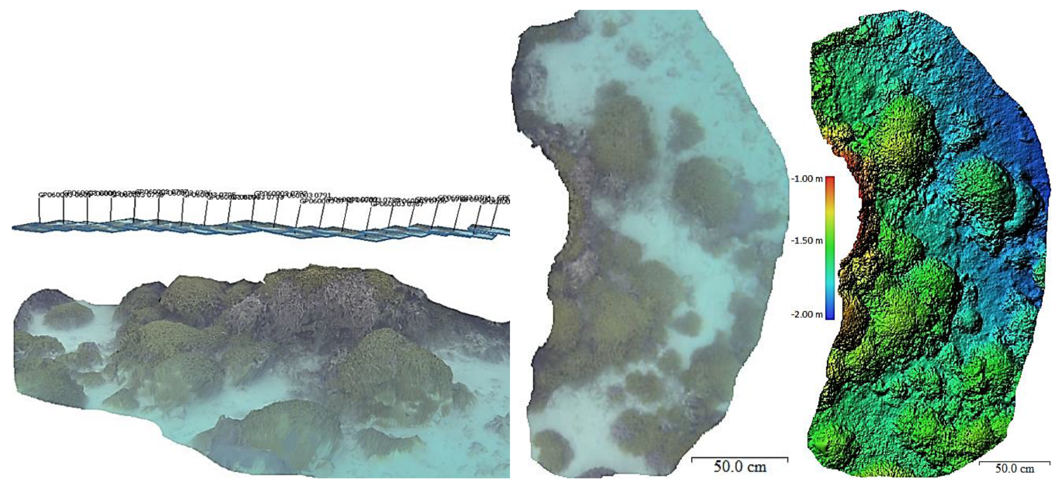 Towards Benthic Habitat 3D Mapping Using Machine Learning Algorithms and Structures from Motion ...