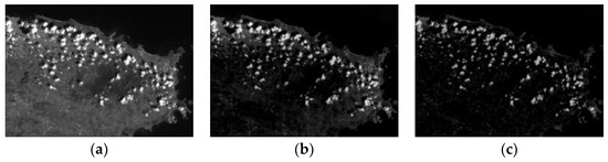 Cirrus Detection Based on RPCA and Fractal Dictionary Learning in Infrared imagery