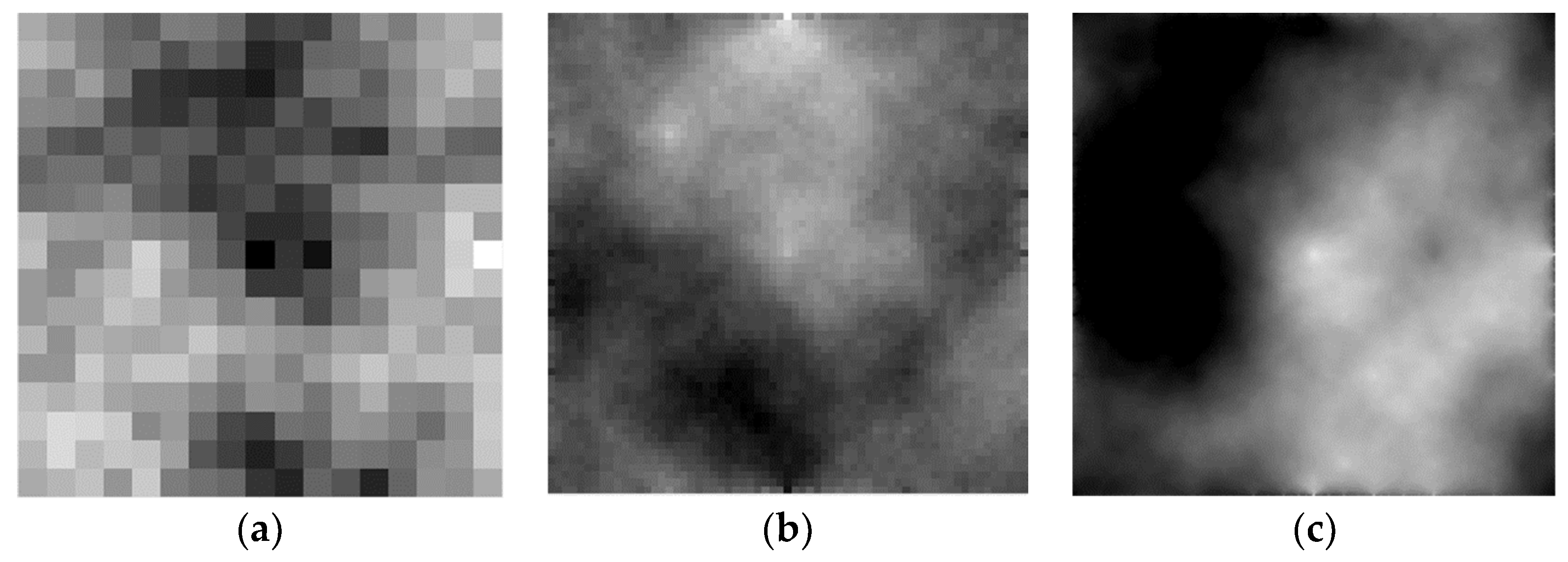Cirrus Detection Based on RPCA and Fractal Dictionary Learning in Infrared imagery