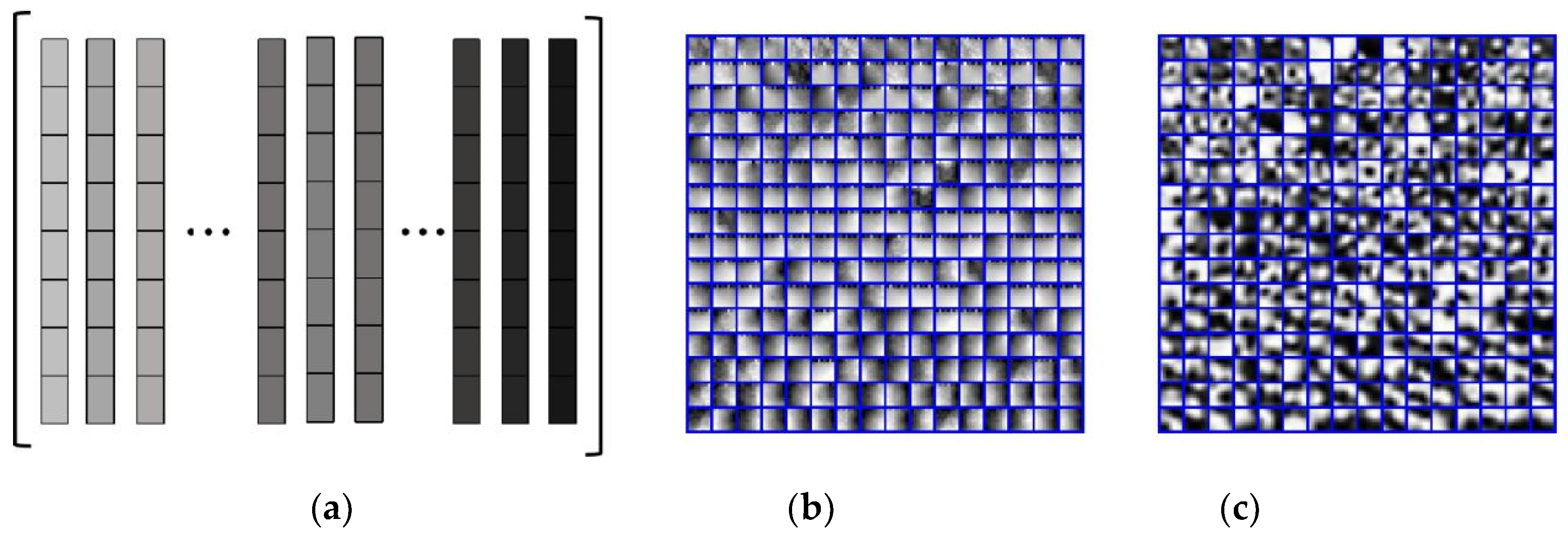 Cirrus Detection Based on RPCA and Fractal Dictionary Learning in Infrared imagery