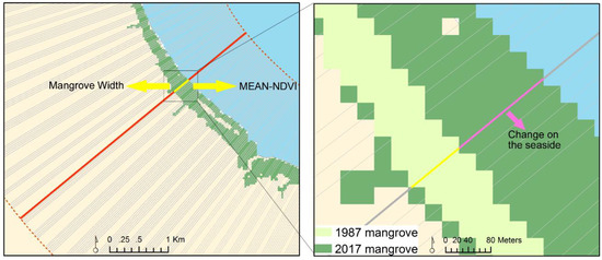 Coastal Mangrove Response to Marine Erosion: Evaluating the Impacts of ...