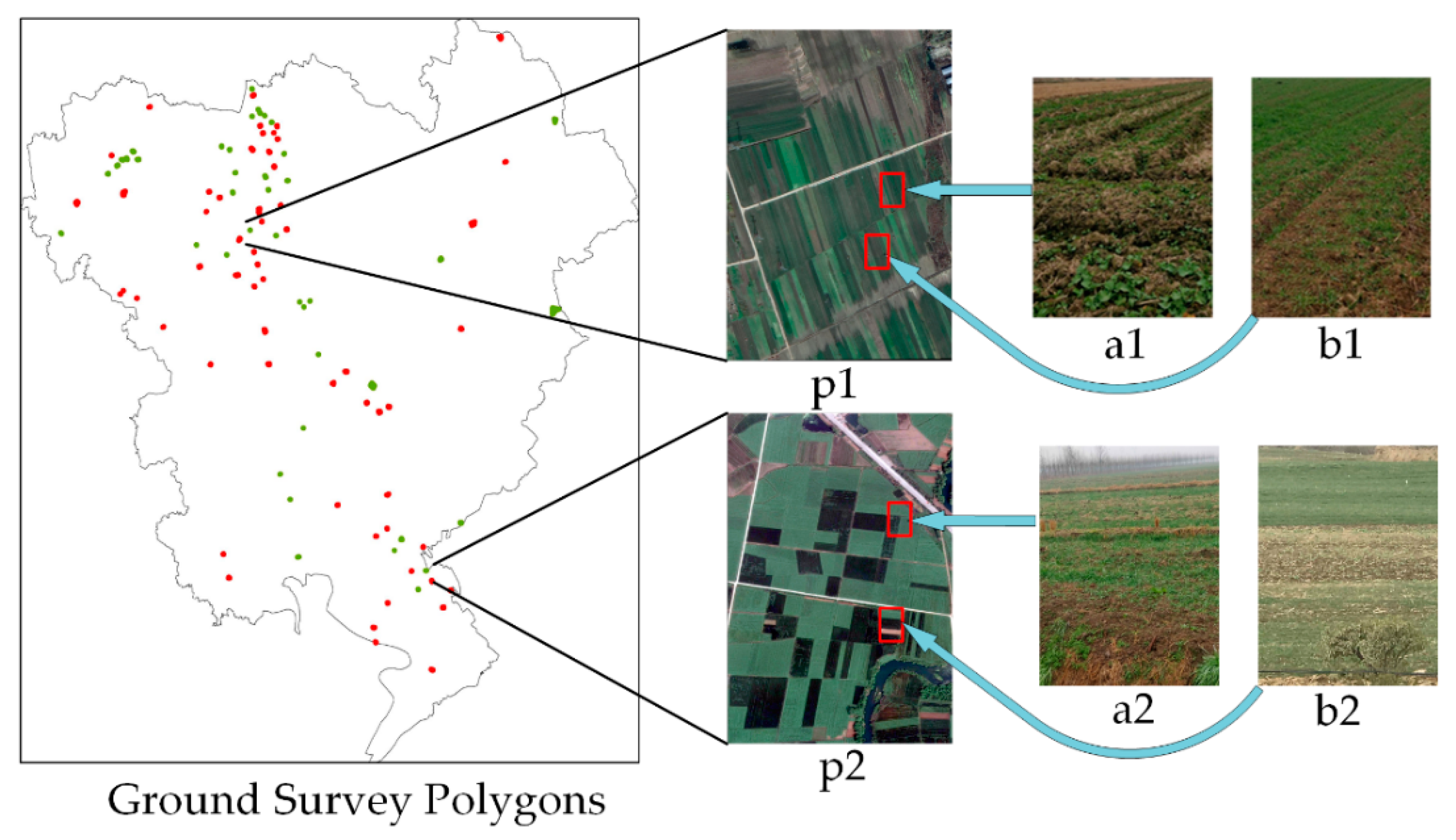 Optimal Temporal Window Selection for Winter Wheat and Rapeseed Mapping with Sentinel-2 Images ...