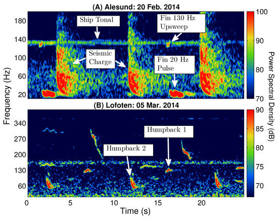 Comparing Performances of Five Distinct Automatic Classifiers for Fin ...