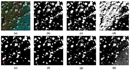 Discriminative Feature Learning Constrained Unsupervised Network for Cloud Detection in Remote ...