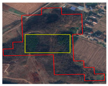 Remote Sensing | Free Full-Text | Bidirectional Segmented Detection of Land Use Change Based on ...