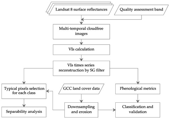 UNVI-Based Time Series for Vegetation Discrimination Using Separability Analysis and Random ...