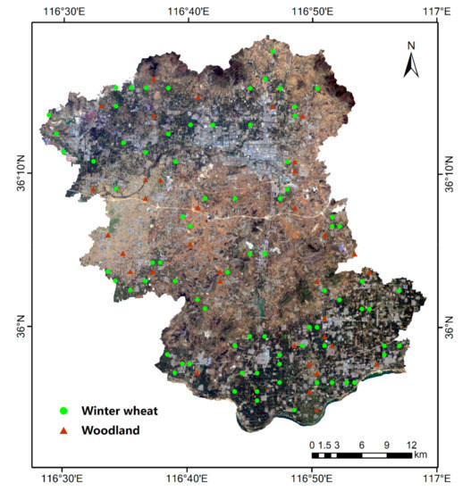 Remote Sensing Special Issue Artificial Neural Networks And Evolutionary Computation In