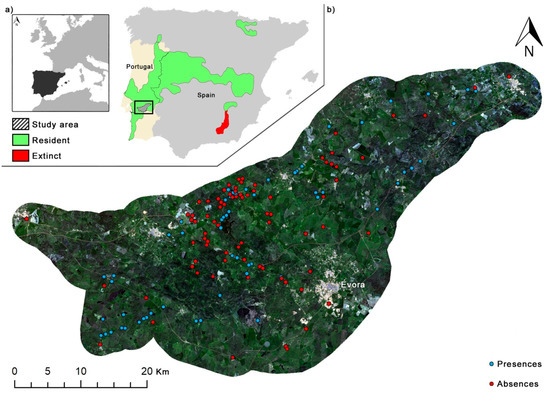 Remote Sensing | Special Issue : Remote Sensing for Biodiversity ...