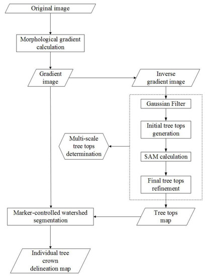 Remote Sensing | Free Full-Text | A New Individual Tree Crown ...