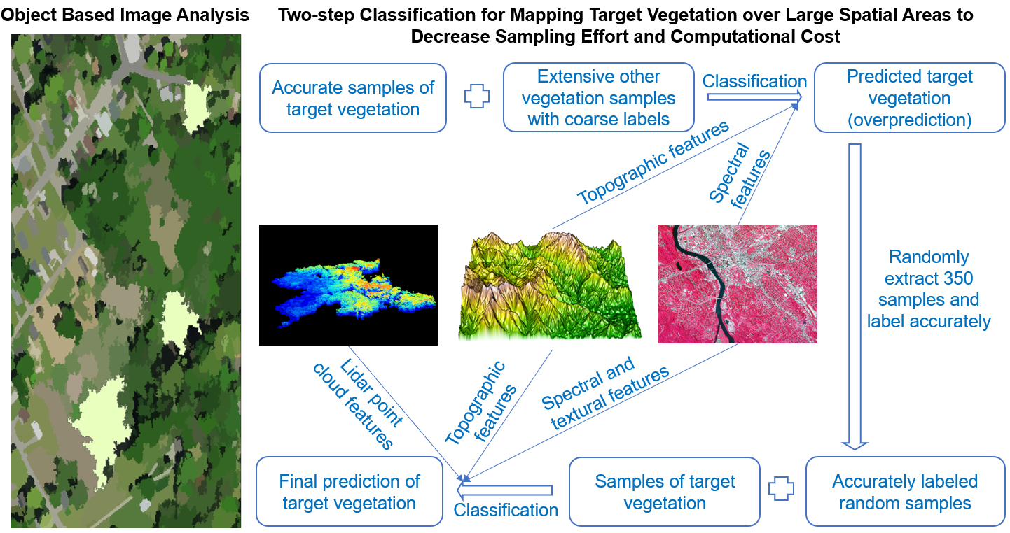 Remote Sensing | Free Full-Text | Mapping Vegetation at Species Level ... Remote Sensing | Free Full-Text | Mapping Vegetation at Species Level ...