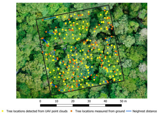 Remote Sensing | Free Full-Text | Airborne Tree Crown Detection for ...