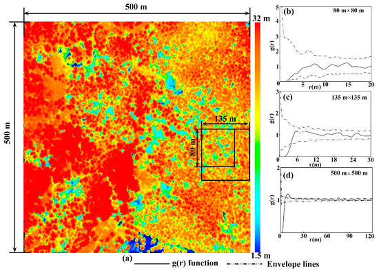 Characterizing Tree Spatial Distribution Patterns Using Discrete Aerial Lidar Data