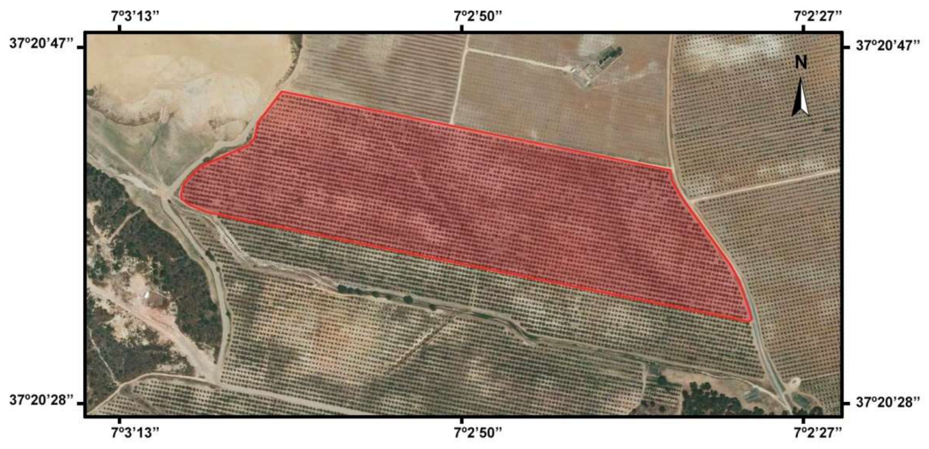 Automated Identification Of Crop Tree Crowns From Uav Multispectral