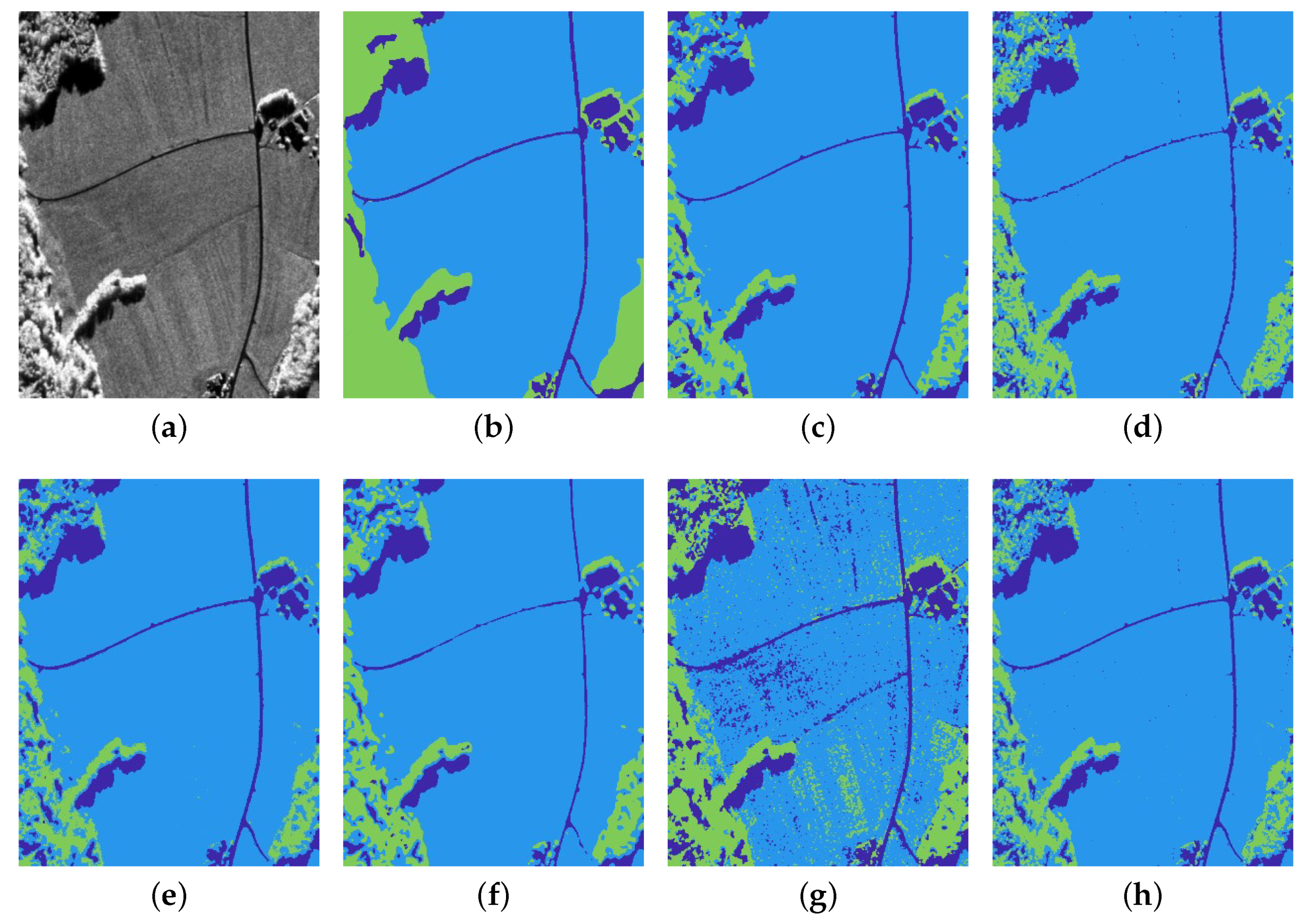 Remote Sensing Free Full Text Sar Image Segmentation Using Region Smoothing And Label Correction