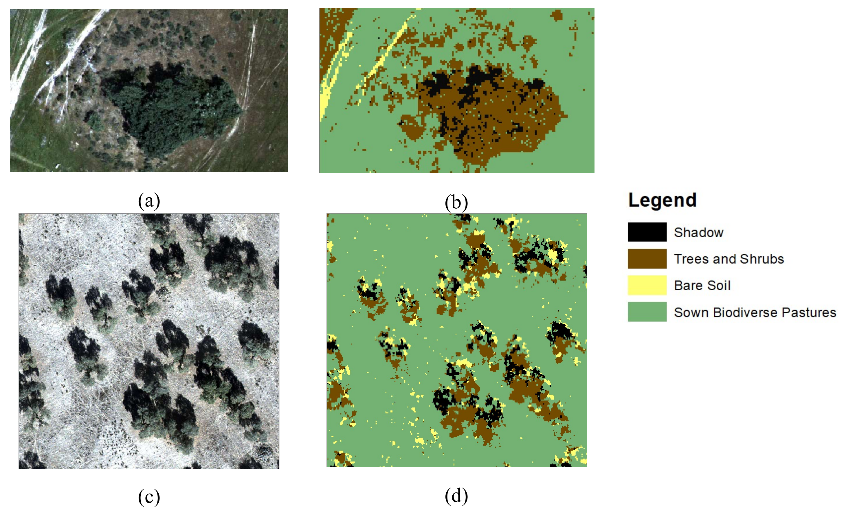 Object-Based Classification Approaches for Multitemporal Identification ...