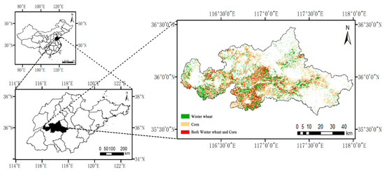 Improved Winter Wheat Spatial Distribution Extraction Using A Convolutional Neural Network and ...