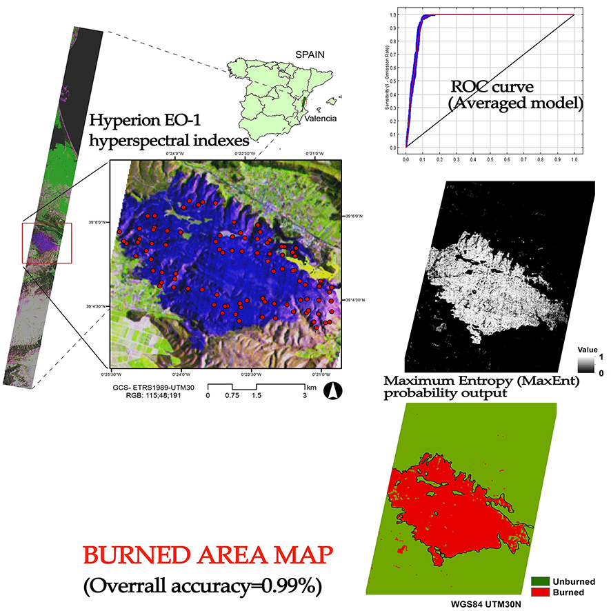 Remote Sensing Free Full Text A Synergetic Approach To Burned Area Mapping Using Maximum