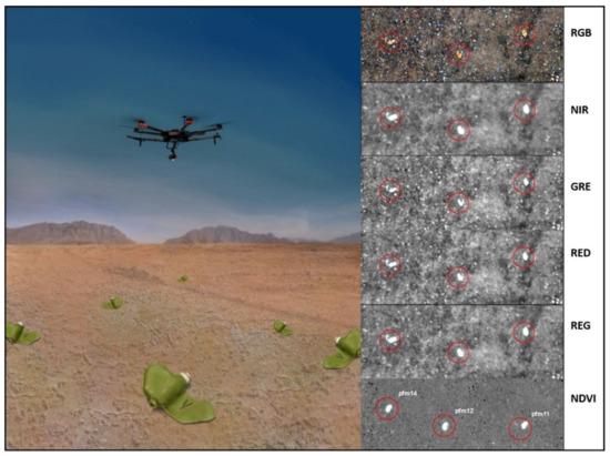Applying Deep Learning to Automate UAV-Based Detection of Scatterable ...