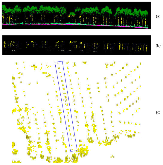 Individual Tree Detection in a Eucalyptus Plantation Using Unmanned ...