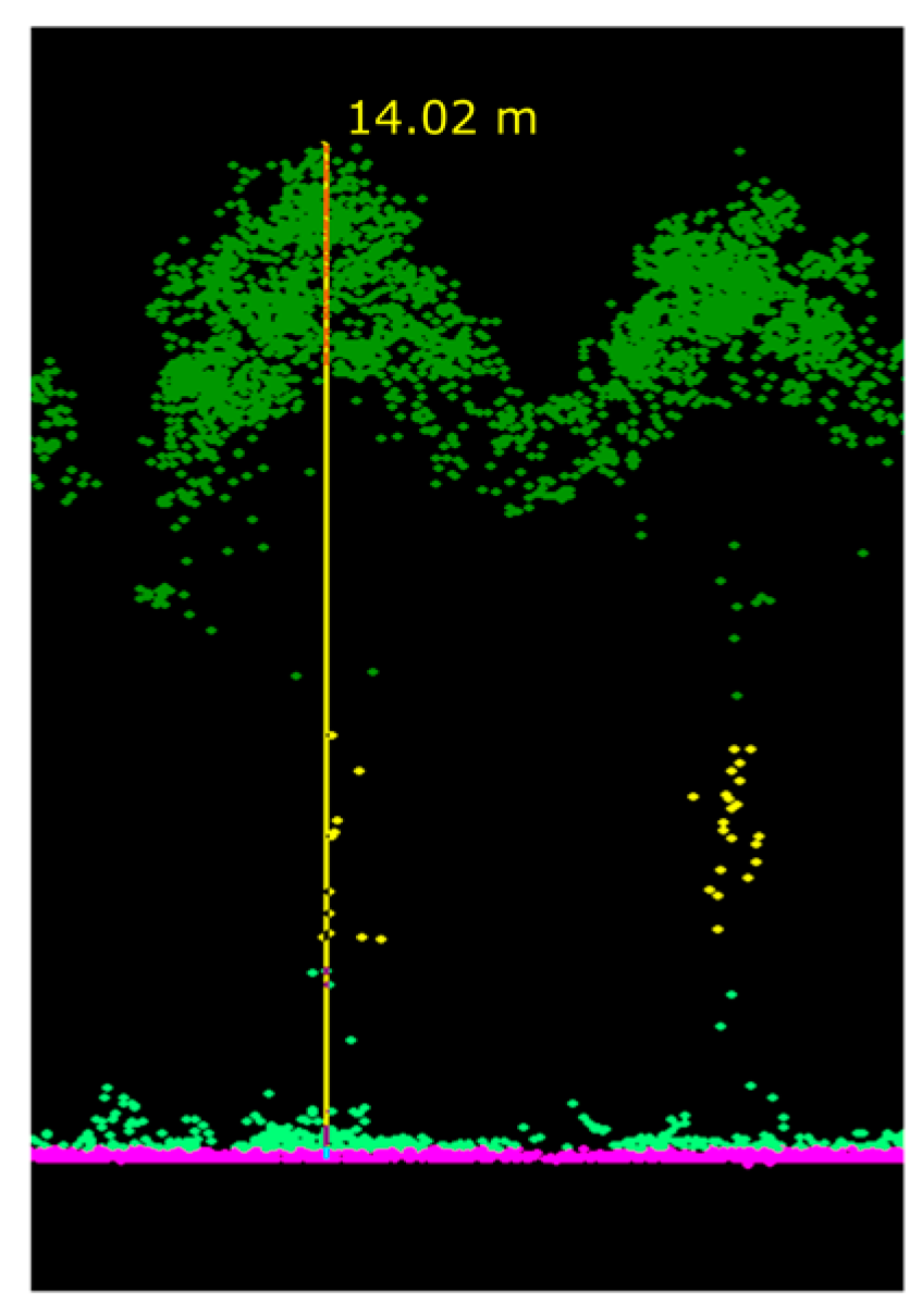 Individual Tree Detection in a Eucalyptus Plantation Using Unmanned ...