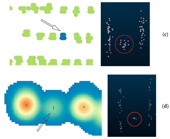Individual Tree Detection in a Eucalyptus Plantation Using Unmanned ...