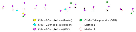 Individual Tree Detection in a Eucalyptus Plantation Using Unmanned ...