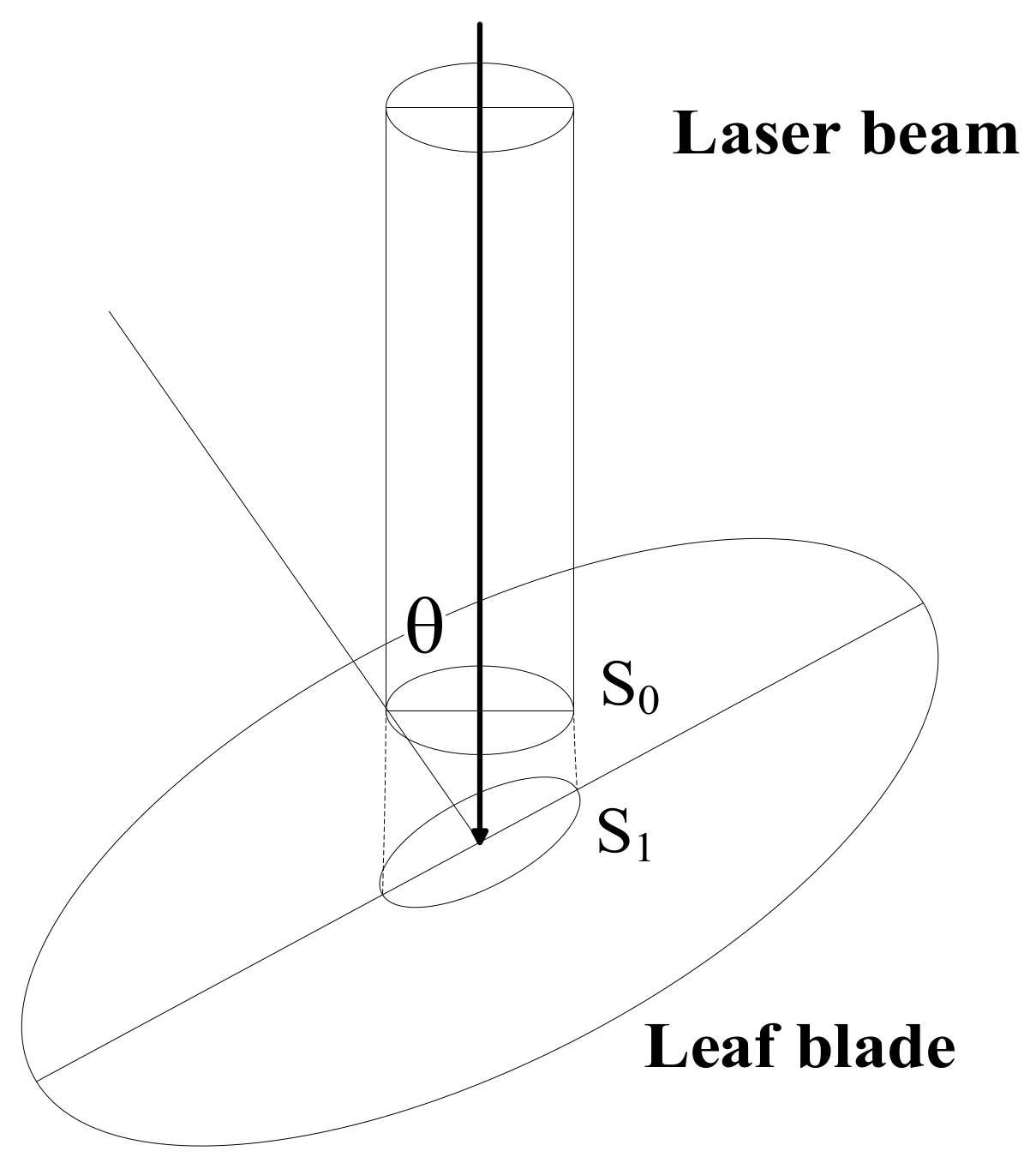 Analyzing the Angle Effect of Leaf Reflectance Measured by Indoor ...
