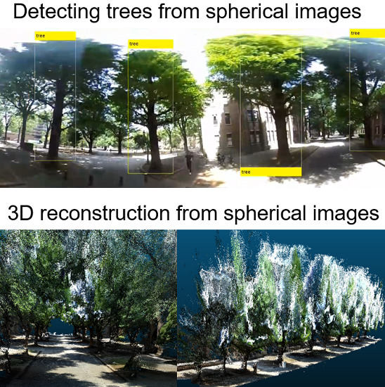 Yolo Object Detection Using Opencv Python On Cpu Easy