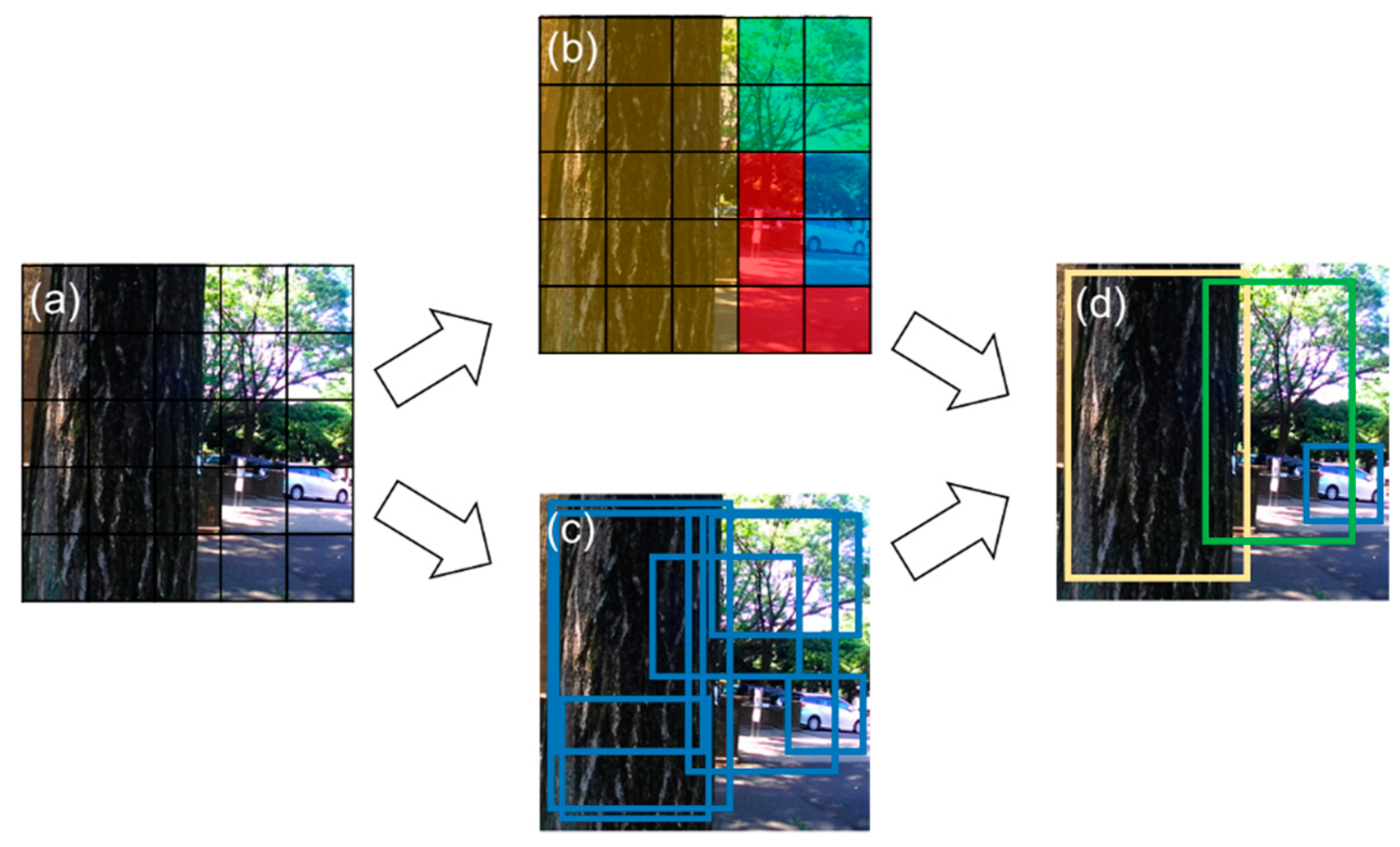 Automatic Tree Detection from Three-Dimensional Images Reconstructed ...