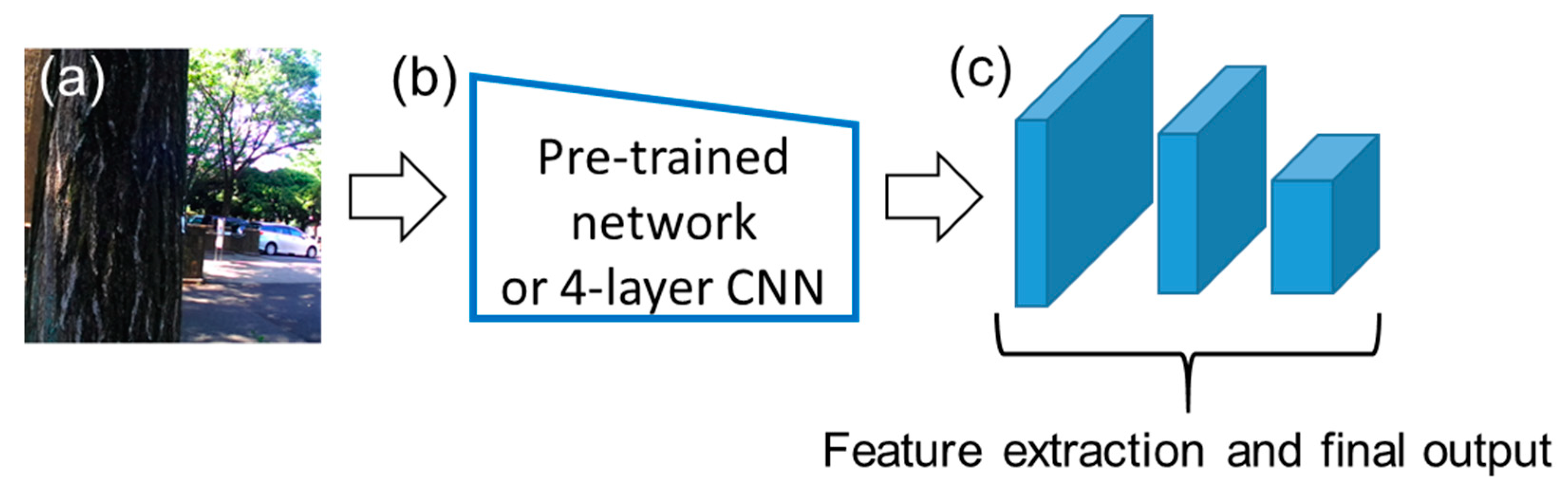 Remote Sensing Free Full Text Automatic Tree Detection From Three