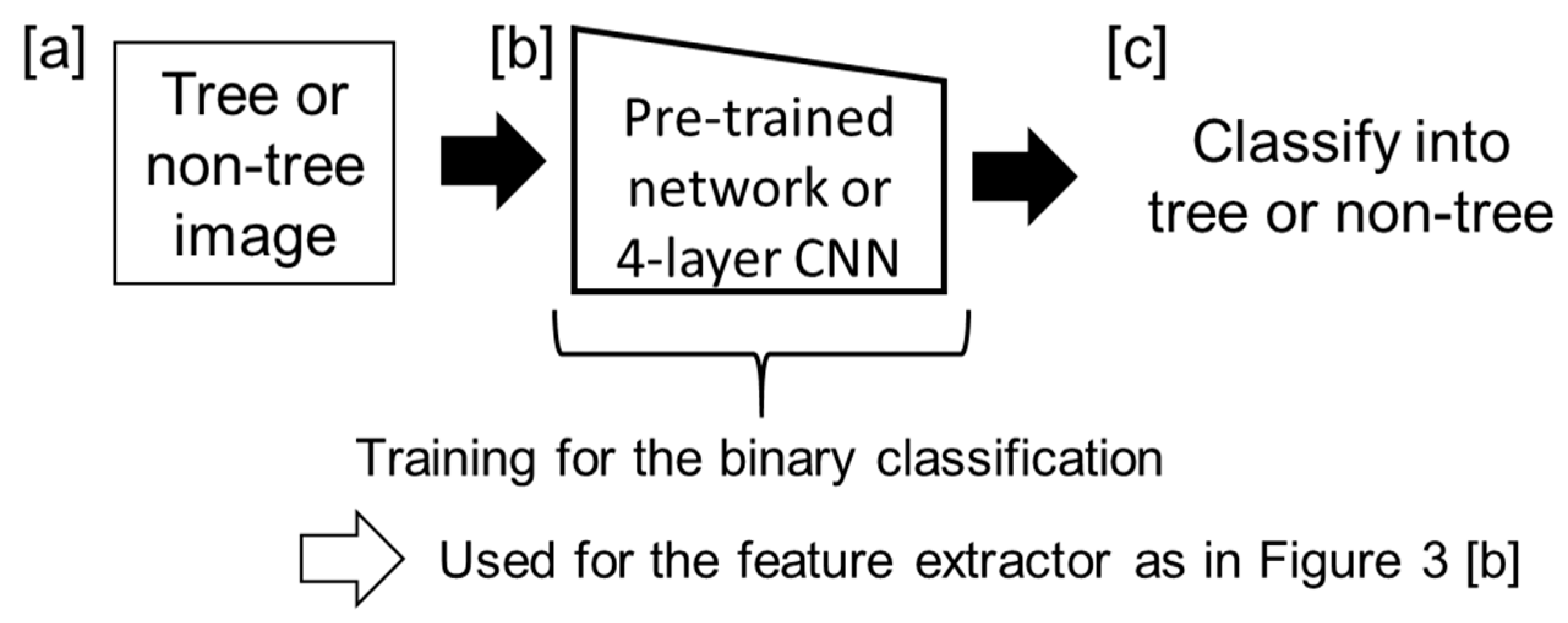 Automatic Tree Detection from Three-Dimensional Images Reconstructed ...