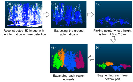 Automatic Tree Detection from Three-Dimensional Images Reconstructed ...