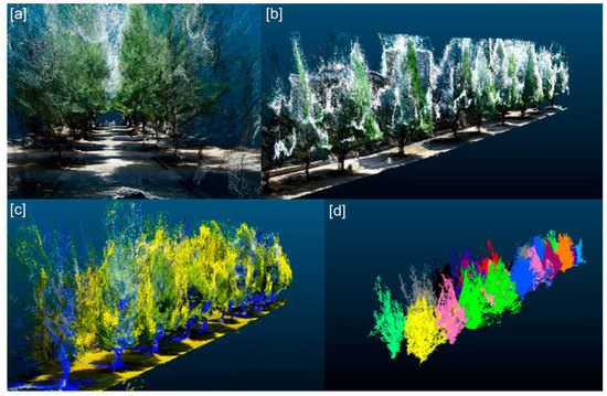 Automatic Tree Detection from Three-Dimensional Images Reconstructed ...