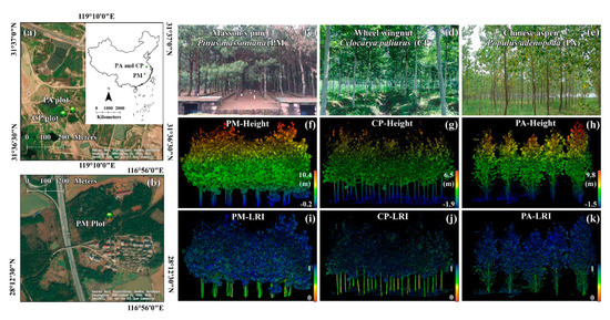 Remote Sensing | Free Full-Text | An Improved Convolution Neural ...