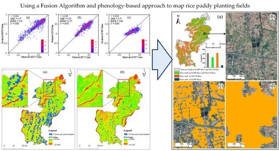 Remote Sensing | Free Full-Text | Phenology-Based Rice Paddy Mapping Using Multi-Source ...