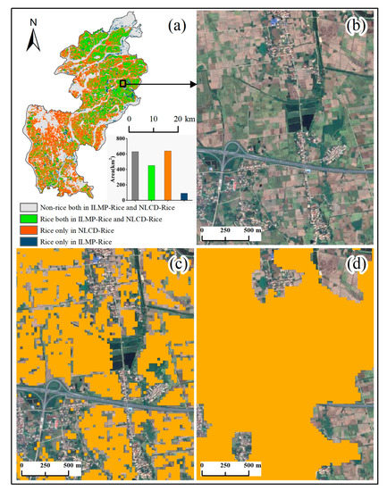 Phenology-Based Rice Paddy Mapping Using Multi-Source Satellite Imagery ...