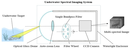 Remote Sensing | Free Full-Text | Underwater Hyperspectral Target Detection with Band Selection