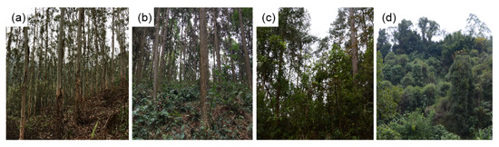Stratification-Based Forest Aboveground Biomass Estimation in a ...