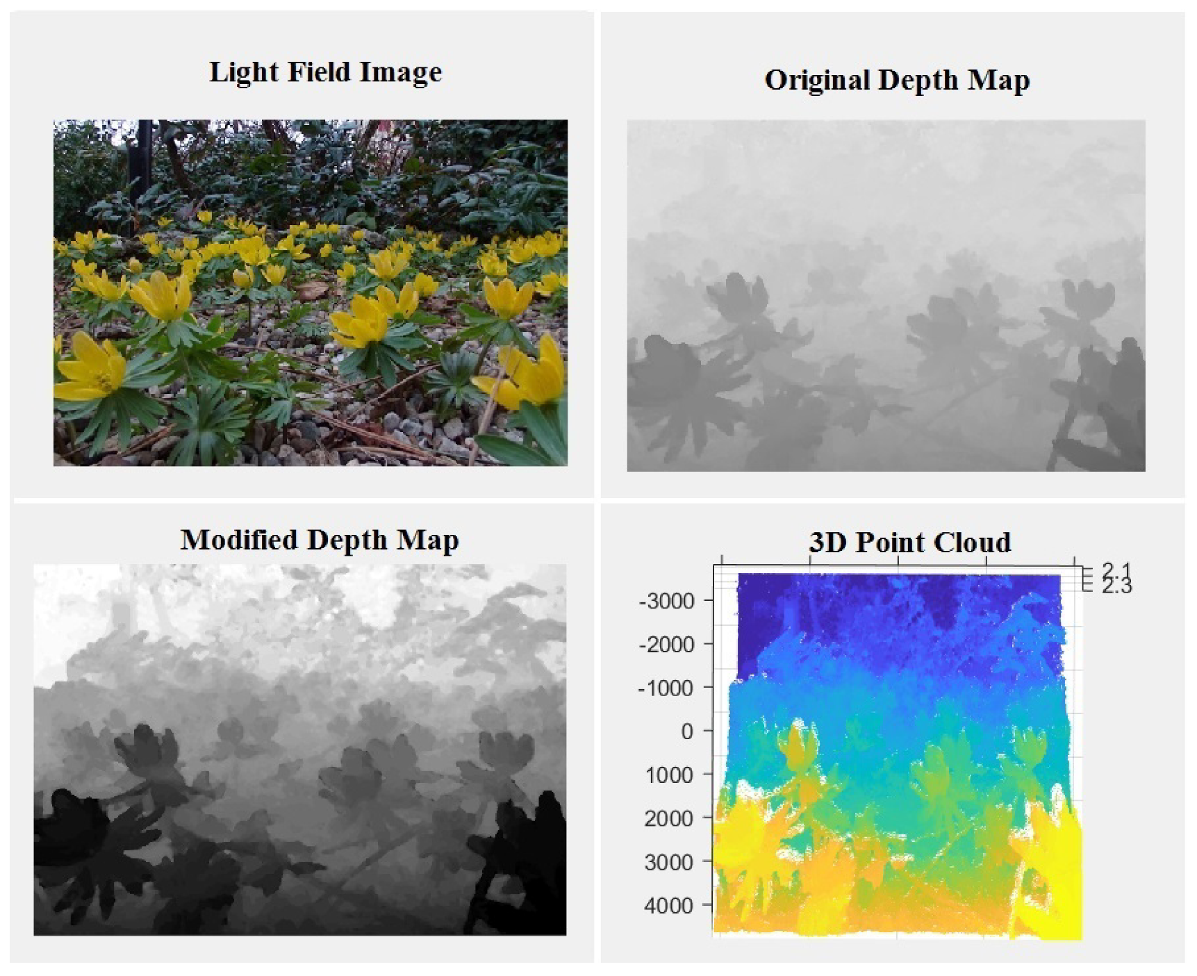 Enhanced 3D Point Cloud from a Light Field Image