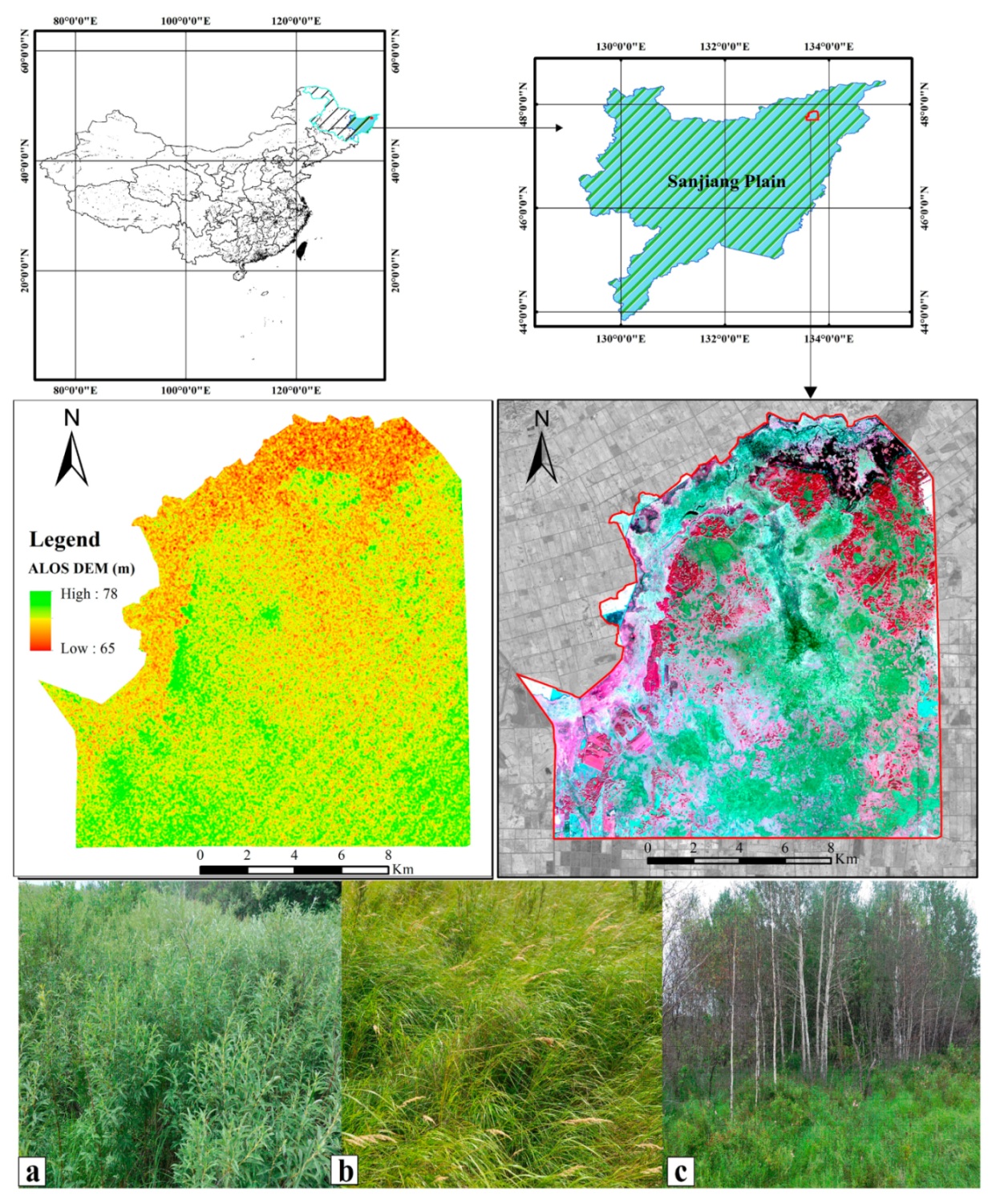 An Optimized Object Based Random Forest Algorithm For Marsh Vegetation Mapping Using High