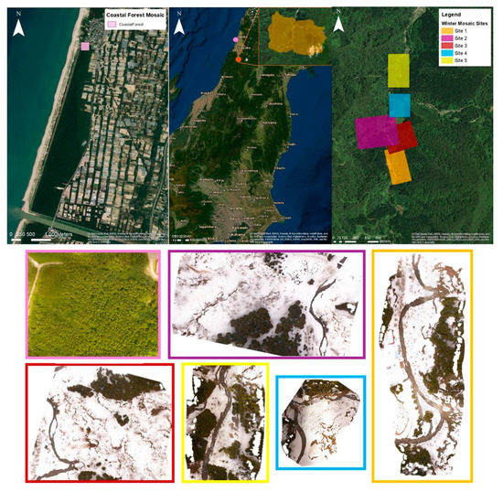 Computer Vision and Deep Learning Techniques for the Analysis of Drone ...