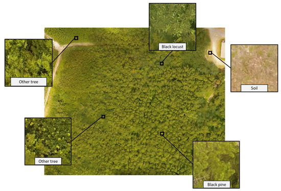 Computer Vision and Deep Learning Techniques for the Analysis of Drone ...