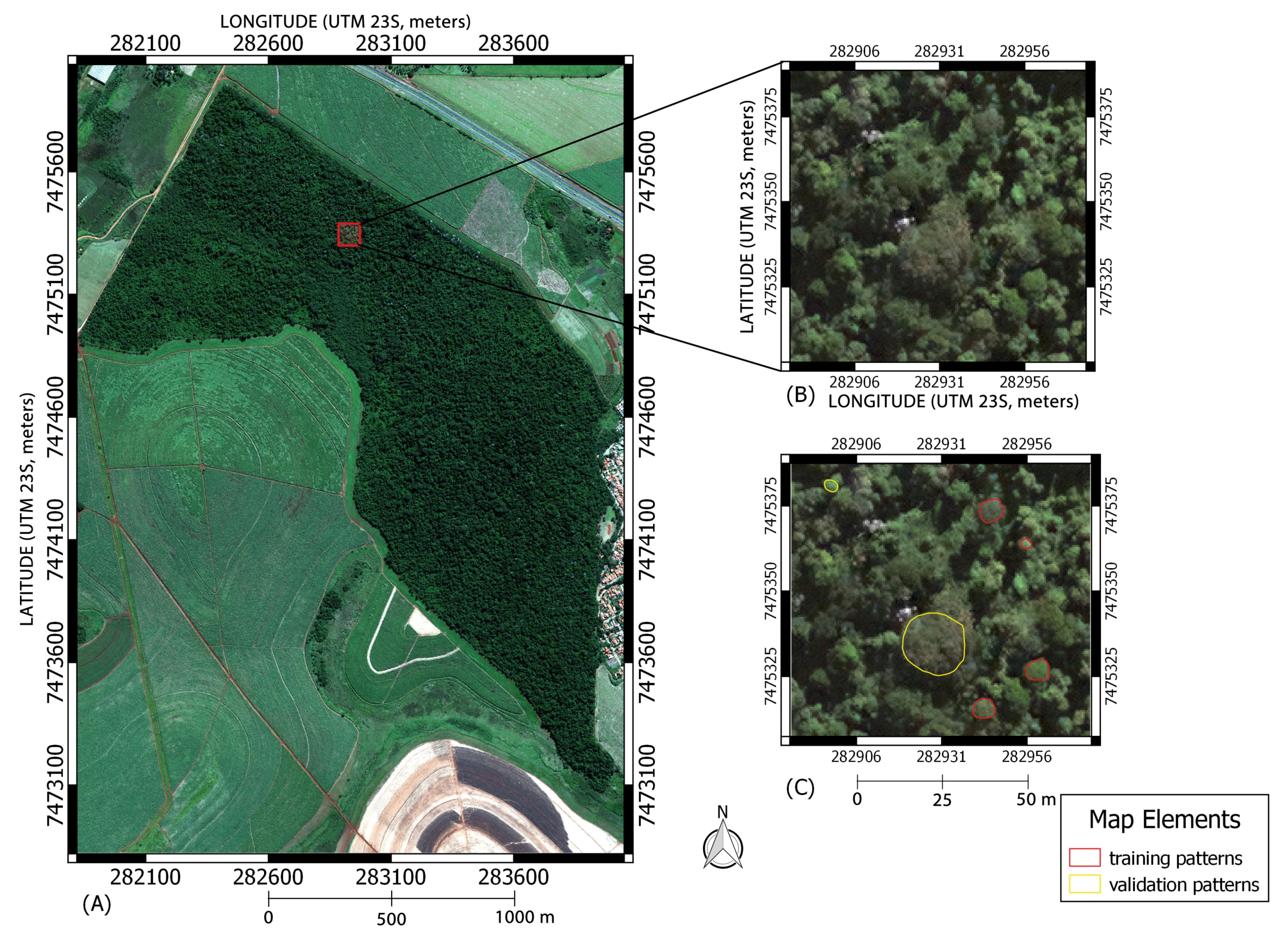 Tree Crown Delineation Algorithm Based on a Convolutional Neural Network