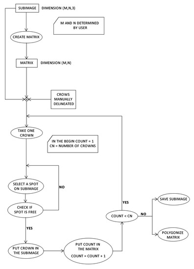 Tree Crown Delineation Algorithm Based on a Convolutional Neural Network