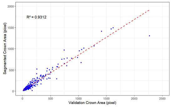 Tree Crown Delineation Algorithm Based on a Convolutional Neural Network