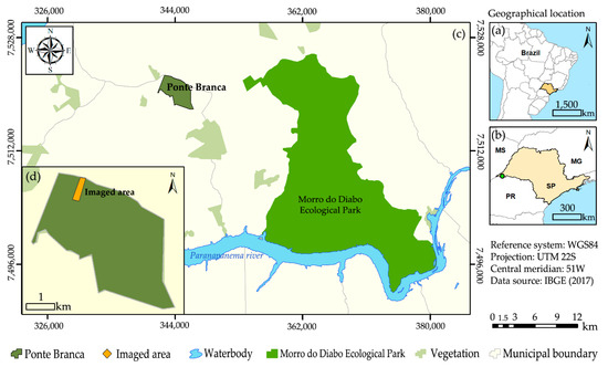 A Novel Deep Learning Method to Identify Single Tree Species in UAV ...