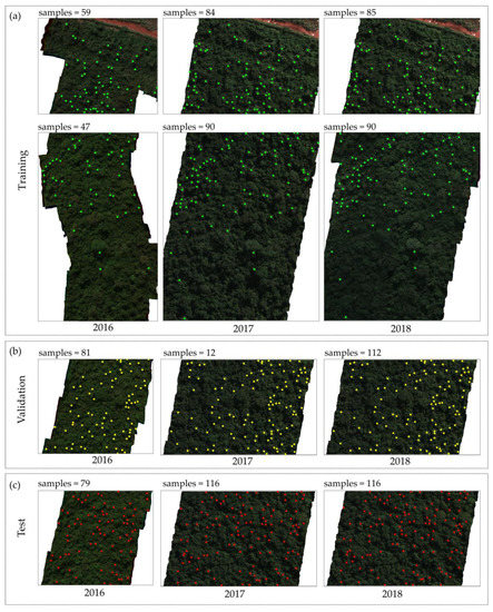 A Novel Deep Learning Method to Identify Single Tree Species in UAV ...